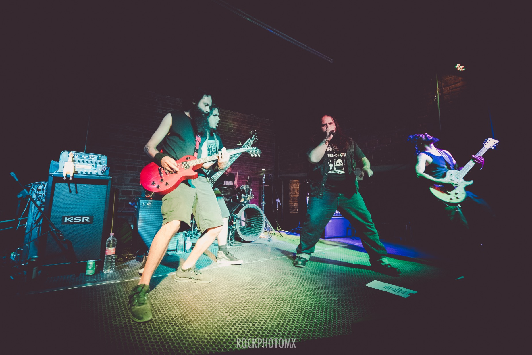 Dog Union | RockPhotoMx